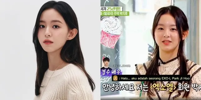 Photo Evidence of Park Ji Hoo as a True EXO-L, Admitting She Doesn't ...