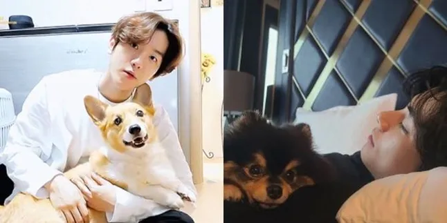 If EXO and BTS's Pet Dogs Became Members of a Boyband, Who Would be the ...