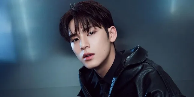 Luxurious and Classy, Let's Take a Look at Handsome Mingyu SEVENTEEN's ...