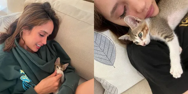 Adorable Portraits of Cinta Laura with a Kitten Found During the ...