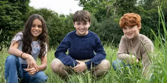 Portrait of Harry Potter, Hermione, and Ron Weasley in the 'Harry ...