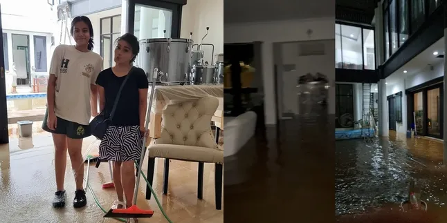 Portrait of Tamara Geraldine's Luxury House as a Flood Victim, Twice in ...