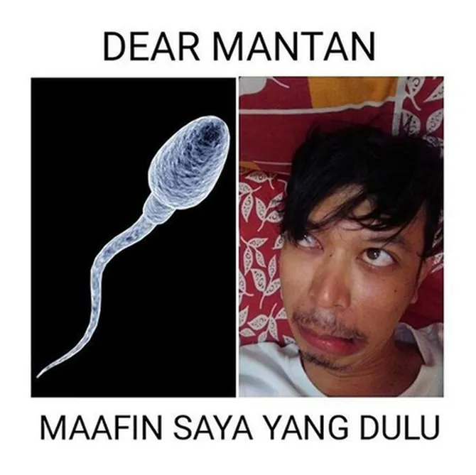 Maafkan Aku Mantan Memes FOTO: Kumpulan Meme Maaf Untuk Mantan, Kocak