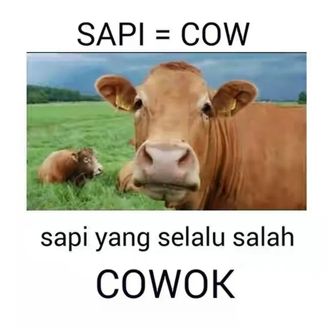 Memes Bahasa Inggris 6 Chat Pakai Bahasa Inggris Ke Gebetan Ini Kocak