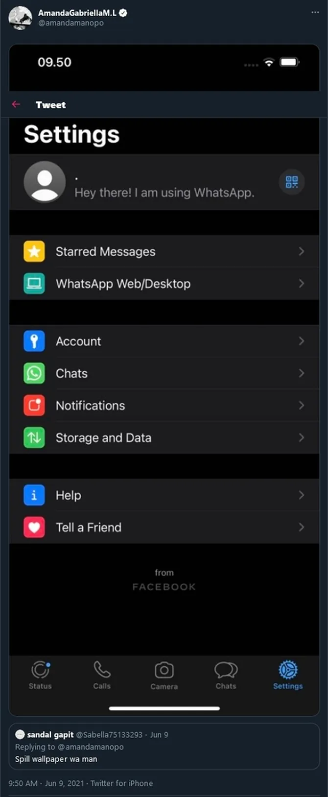 Amanda Manopo Twitter