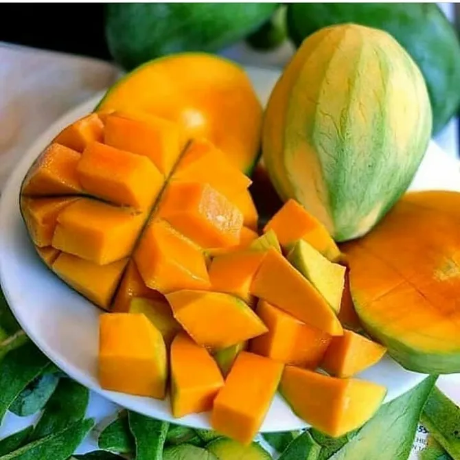 8 Jenis Mangga Paling Enak di Indonesia, Manis dan Menyegarkan - Plus ...