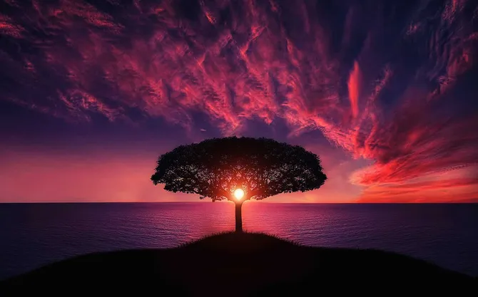 217 Caption Senja Singkat yang Keren Abis, Cocok untuk Foto Kekinian ...