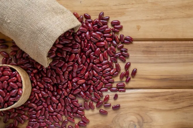 8 Jenis Kacang Kacangan Paling Populer Kaya Manfaat Untuk Kesehatan