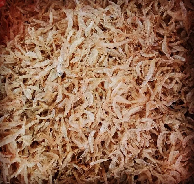 8 Jenis Udang Unggulan Enak dan Lezat Ketika Dikonsumsi - Plus ...