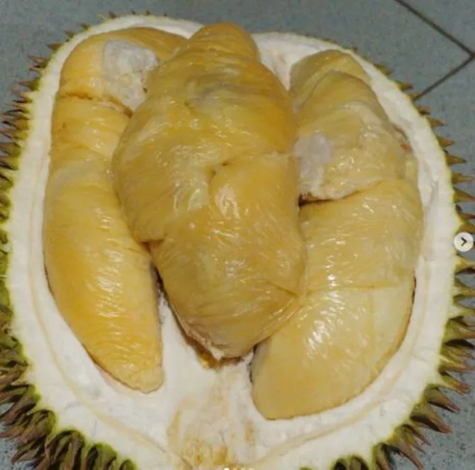 8 Jenis Durian Paling Populer dan Banyak Digemari, Sudah Mencicipi? - Plus.Kapanlagi.com