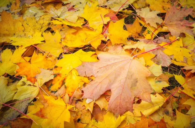 35 Kata-Kata Bulan November Penuh Makna dan Bijak, Bikin Semangat ...