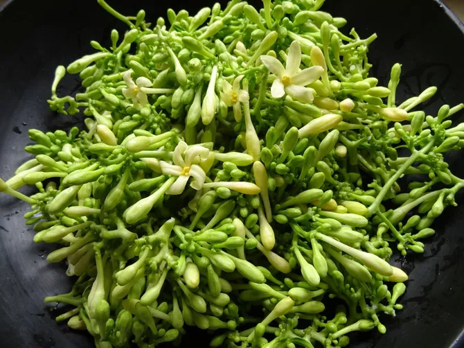 Sering Dijadikan Sayuran Tumis, Inilah 7 Manfaat Bunga Pepaya untuk ...