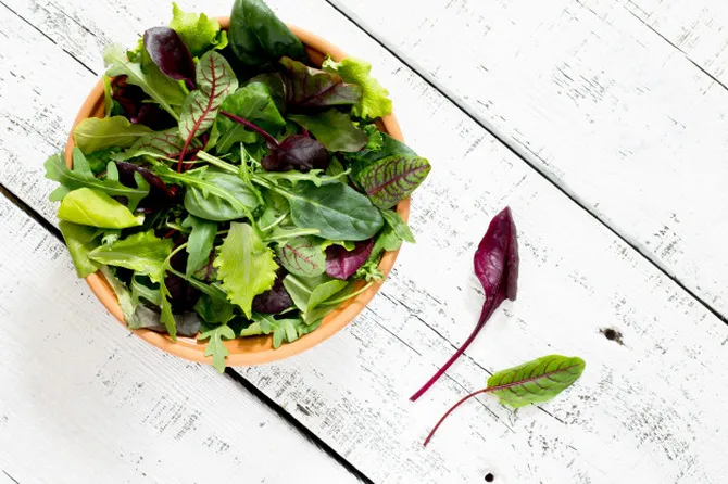 13 Manfaat Bayam Bagi Kesehatan, Tak Hanya Menutrisi Tulang - Plus ...