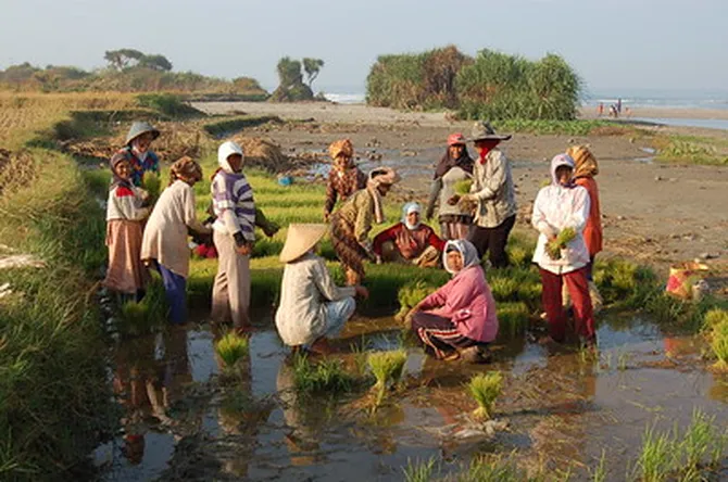 7 Manfaat Hidup Rukun di Lingkungan Masyarakat, Pererat Tali ...