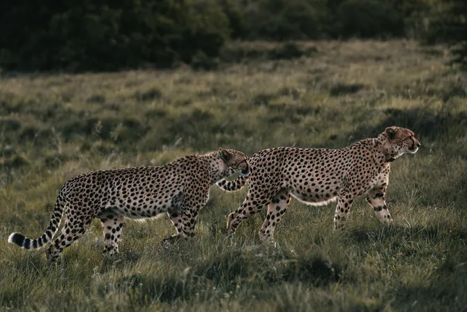 Arti Hunting Secara Umum - Dalam Dunia Fotografi, Ketahui Pula Tips ...