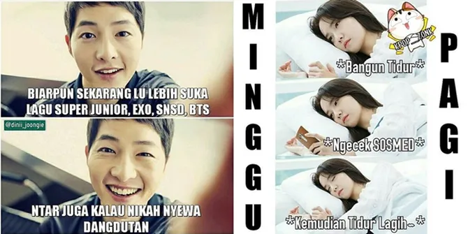 Memes Gemesin 9 Meme Anabul Ini Gemesin Banget, Dijamin Bikin