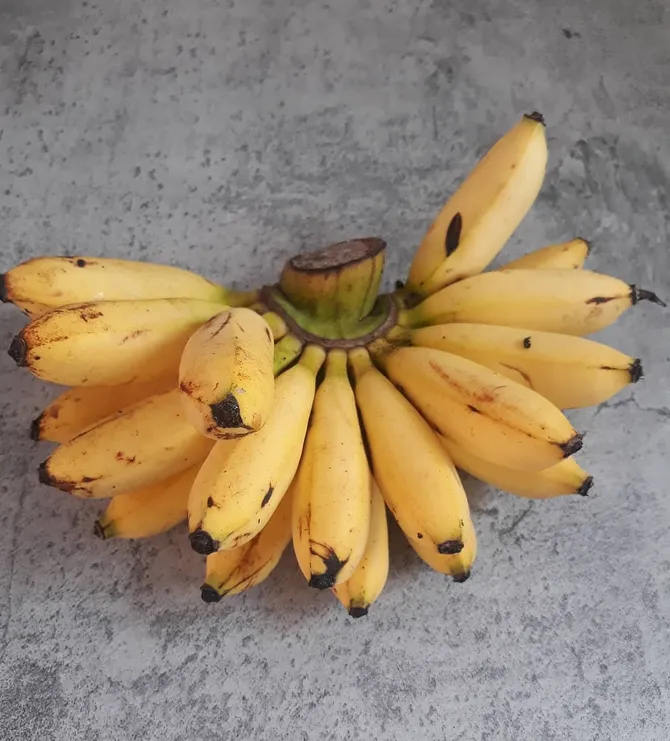 6 Jenis Pisang untuk Diet, Begini Cara Mengonsumsinya - Plus.Kapanlagi.com