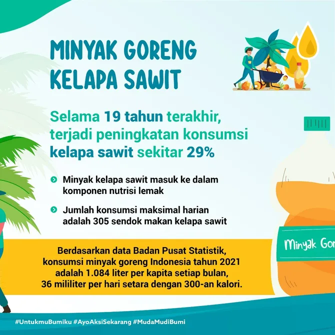 Fakta-Fakta Tentang Minyak Kelapa Sawit dan Dampaknya Bagi Manusia yang ...